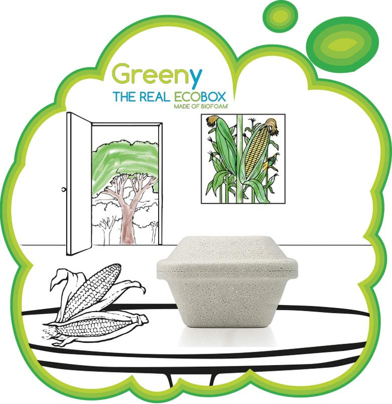 NEW - Compostable Takeout Containers! – World of Gelato