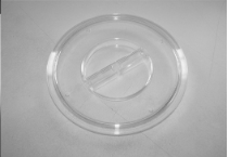 5-PK Round Plexiglass Lids – World of Gelato